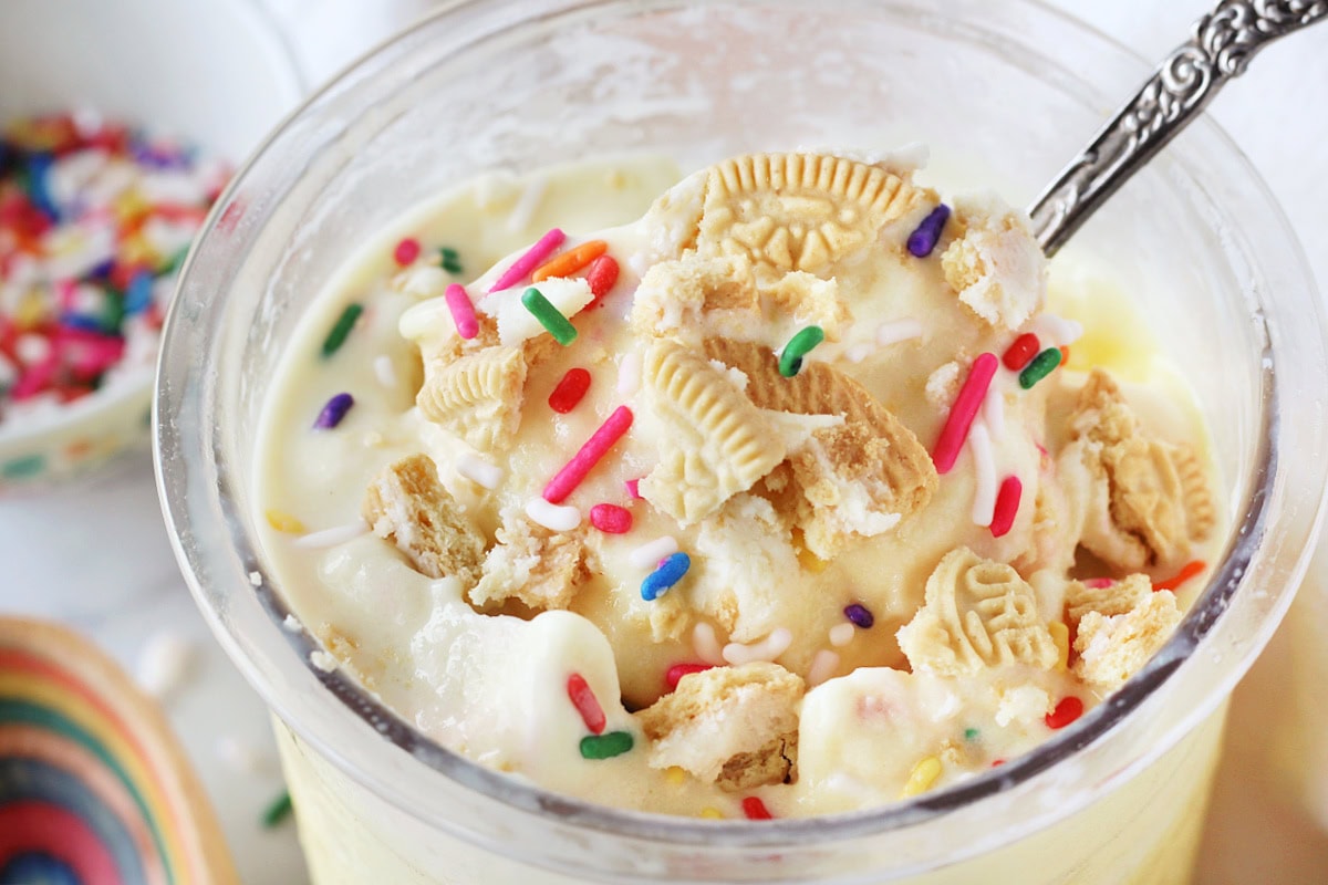 Ninja Creami Cake Batter Ice Cream - HappiHomemade